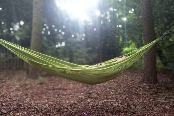 Private Mindfulness and Nature Walk in Edinburgh - Yoga and Movement