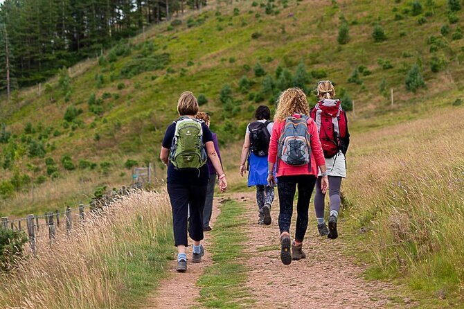 Private Mindfulness and Nature Walk in Edinburgh - Guided Meditation and Reflection