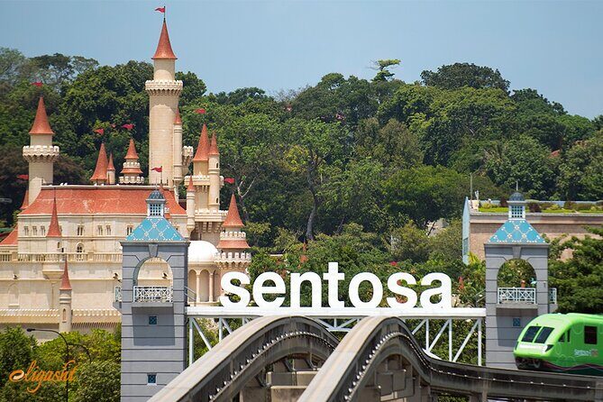 Private Mini-Bus Transfer to Attractions in Singapore - The Experience: What You Can Expect