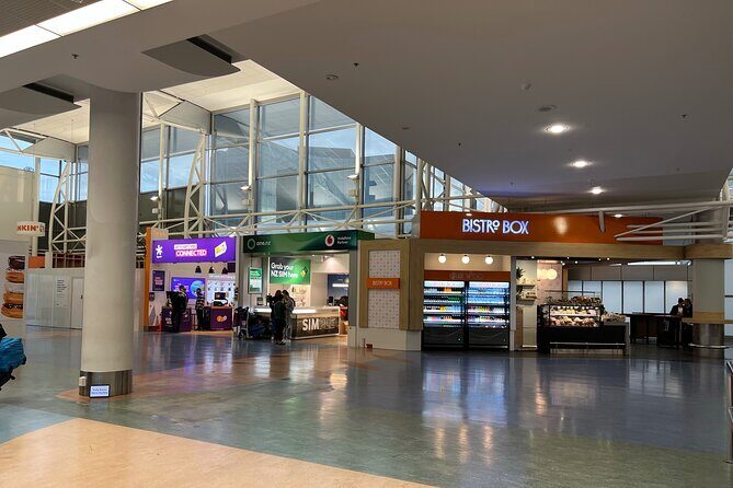 Private Mini Van Transfer From Auckland Airport to Auckland City - Who Is This Transfer Ideal For?