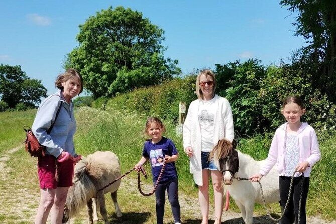 Private Miniature Horse Walking near Lincoln - Key Points