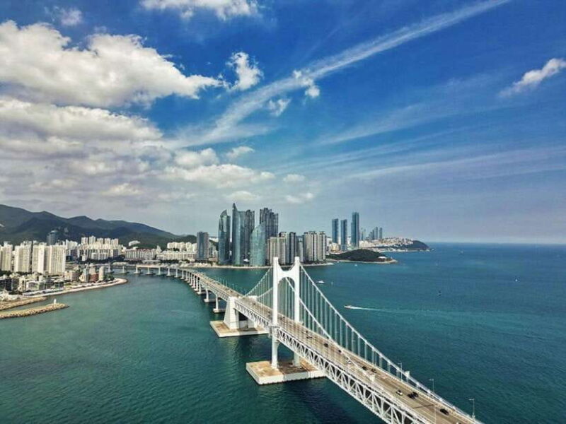 Private Minibus Tour in Busan for Cruise Guests 8-17 People - The Value: Price vs. Experience