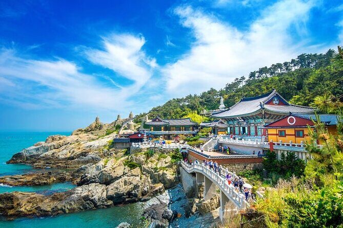 Private Minibus Tour in Busan for Cruise Ship Guests 8-15 People - Key Points