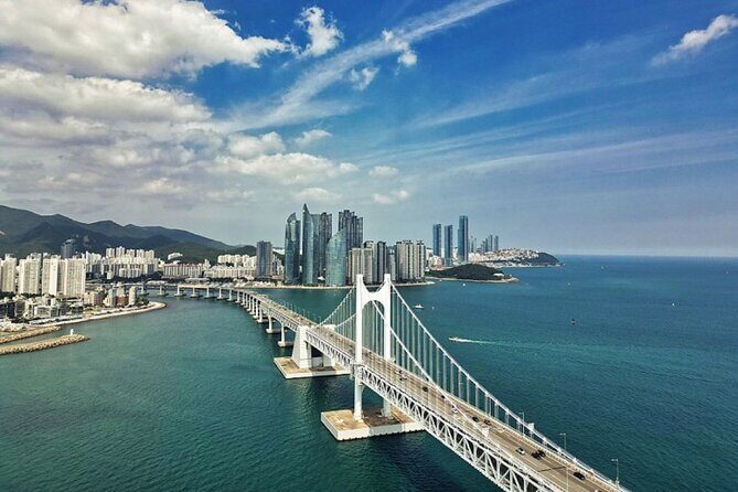 Private Minibus Tour in Busan for Cruise Ship Guests 8-15 People - Analyzing Price and Value