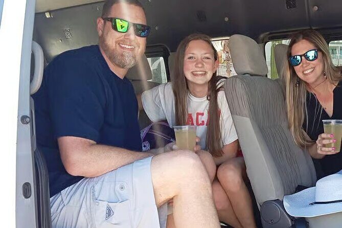 Private Minivan Transfer from Punta Cana Airport - Key Points