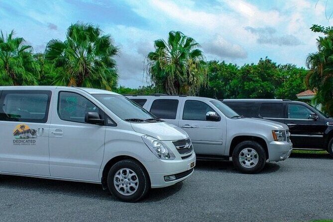 Private Minivan Transfer from Punta Cana Airport - Who Should Consider This Transfer?