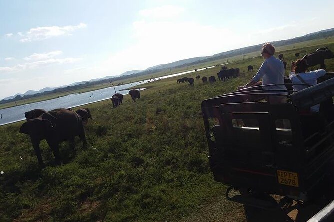 Private Minneriya National Park Jeep Safari And Sigiriya Tour - Introduction