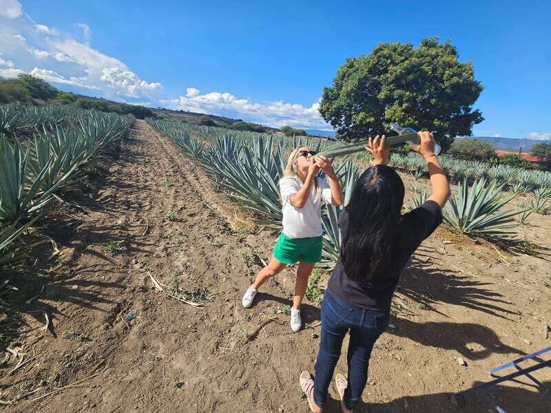 Private Mitla, Hierve el agua and Mezcal Tour with Lunch - Key Points