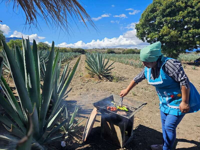 Private Mitla, Hierve el agua and Mezcal Tour with Lunch - FAQ