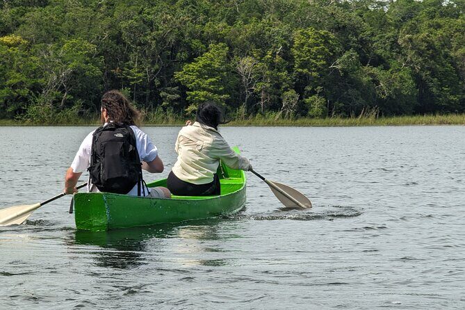 Private Monkey Sanctuary Trails with Zipline Canoe and Cenote - Who Should Consider This Tour?