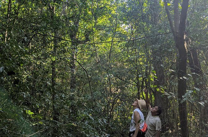 Private Monkey Sanctuary Trails with Zipline Canoe and Cenote - Frequently Asked Questions