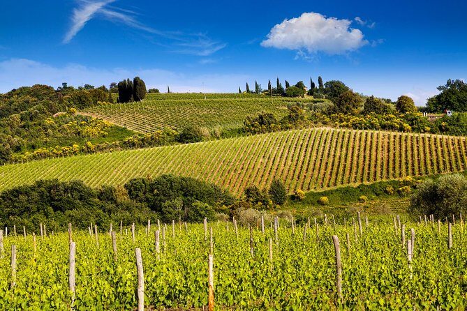 Private Montalcino and Pienza Tour from Siena - Practical Details and Tips