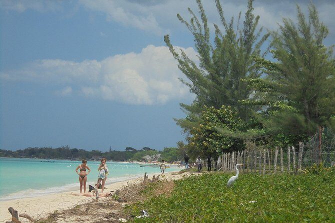 Private Montego Bay Airport Transfer to Negril - Review Highlights: Authentic Traveler Perspectives