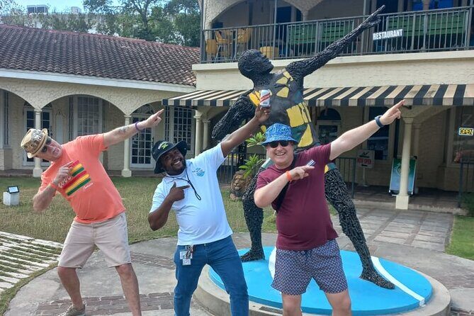 Private Montego Bay Airport Transfer to Ocean Coral Spring - Who Should Book This Transfer?