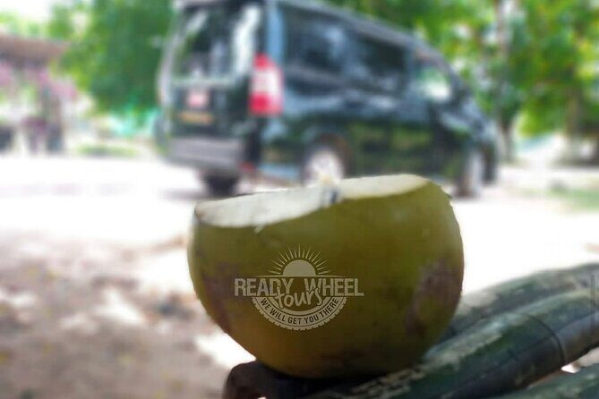 Private Montego Bay Airport Transfer with a Local Guide - The Sum Up: Is It Worth It?