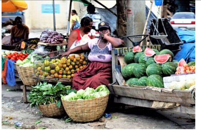 Private Montego Bay City Tour with Sightseeing and Shopping - Who Will Love This Tour?