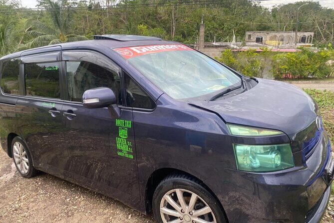 Private Montego Bay Sangster Airport Transfer to Negril Hotels - Who Should Book This Transfer?