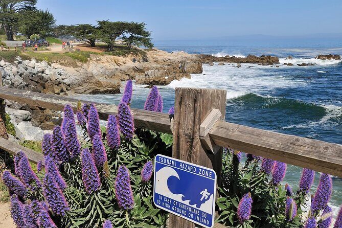Private Monterey, Carmel and 17-Mile Drive Day Trip from San Francisco - A Closer Look at Each Stop
