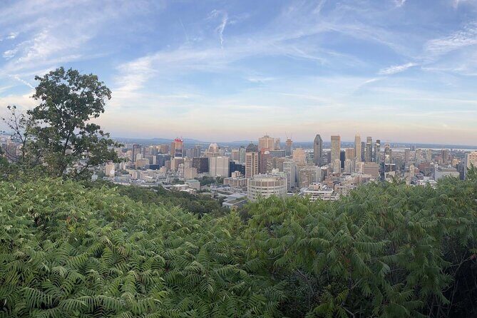 Private Montreal Car Tour with History and Hidden Gems - Exploring Montreal at Its Best: A Thorough Breakdown