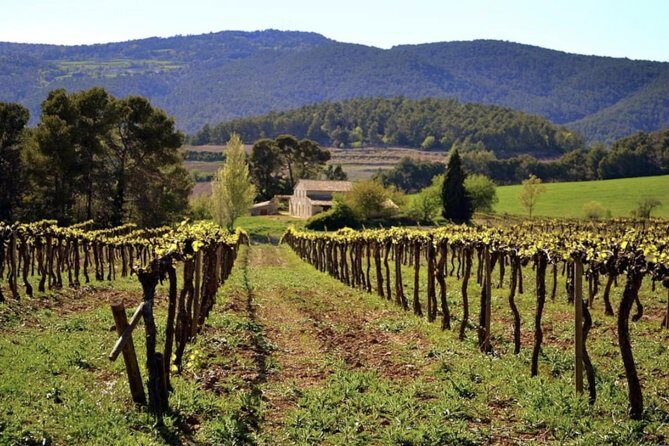 Private Montserrat Tour, Organic Winery & Authentic Local Lunch - A Perfect Balance of Activities and Relaxation
