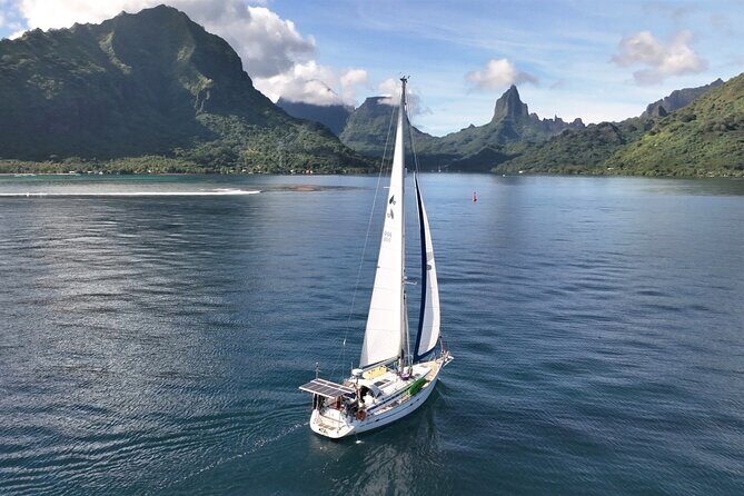 Private Moorea Discovery Half-day Sailing - What to Expect from the Wildlife & Marine Features