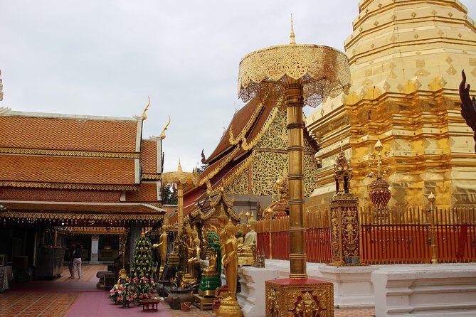 Private! Morning alms&Doi suthep&Wat Umong + Monjam & Hill tribe& Royal Project - Final Thoughts: Who Will Love This Tour?