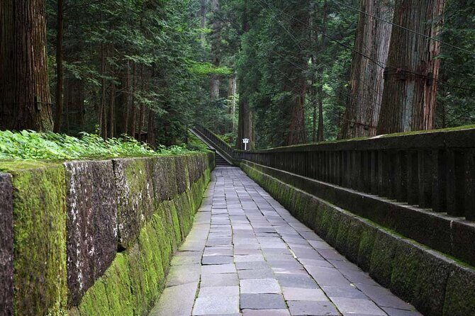 Private Morning Hike Around Nikko Toshogu Shrine - An In-Depth Look at the Private Morning Hike Around Nikko Toshogu Shrine