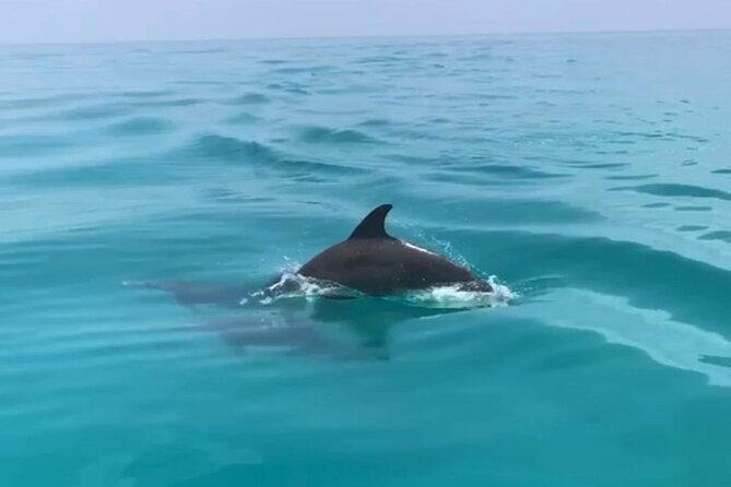 Private Morning Tiki Boat Eco Cruise in Key West - Introduction