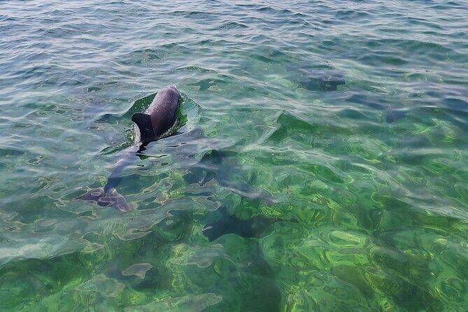 Private Morning Tiki Boat Eco Cruise in Key West - What to Expect from the Itinerary
