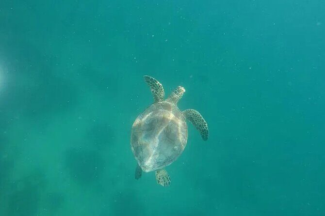 Private Morning Tiki Boat Eco Cruise in Key West - The Sum Up