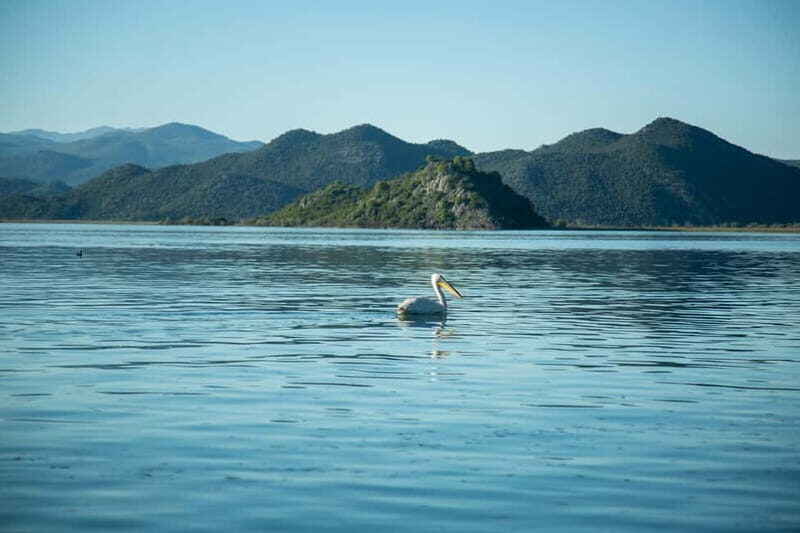 Private morning tour with refreshments and hidden canals! - The Experience from the Traveler Perspective