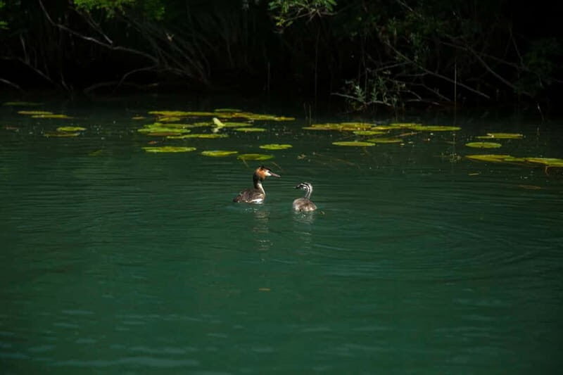 Private morning tour with refreshments and hidden canals! - Who Will Love This Tour?
