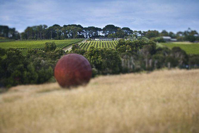 Private Mornington Farm Picnic for Two Adults - The Sum Up