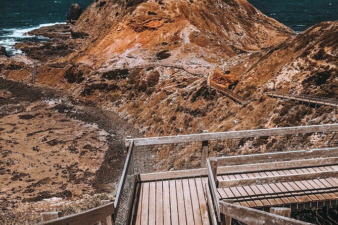 Private Mornington Peninsula Hike and Hot Springs Tour - What Travelers Say