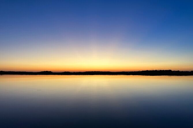 Private Morris Island Dolphin Adventure (to 12 guests) - Pricing and Value: Is It Worth It?