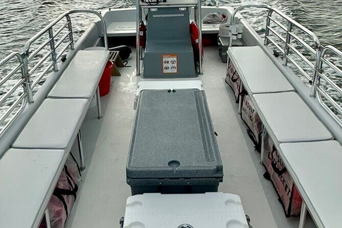 Private Morris Island Dolphin Adventure (to 12 guests) - Final thoughts: Who should consider this tour?