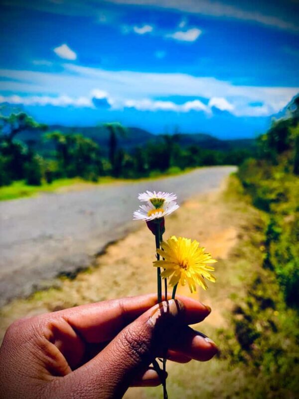 Private Motorbike Passenger Ride to World's End |From Ella - An Introduction to the Journey