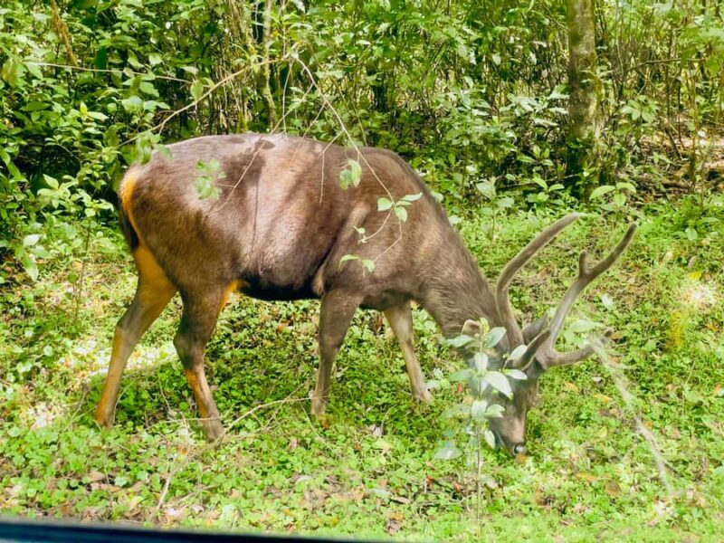 Private Motorbike Passenger Ride to World's End |From Ella - FAQs