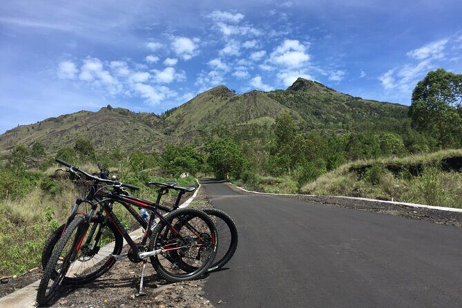 Private Mount Batur Day Tour - Include Ubud Monkey Forest - The Sum Up