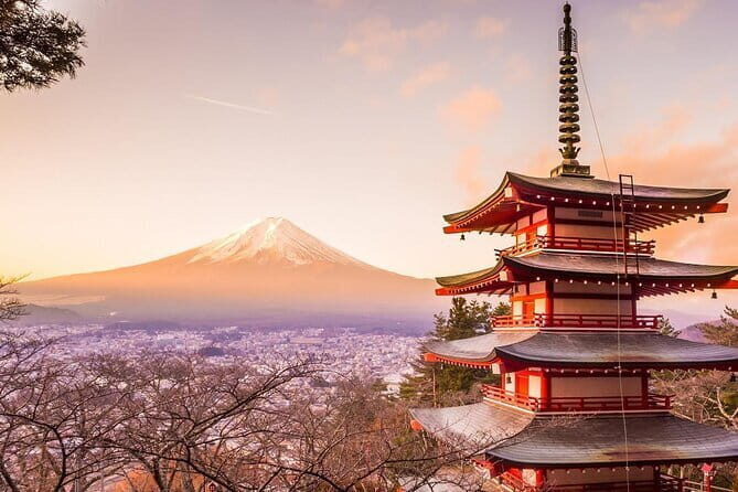 Private Mount Fuji and Hakone One Day Tour - Final Thoughts