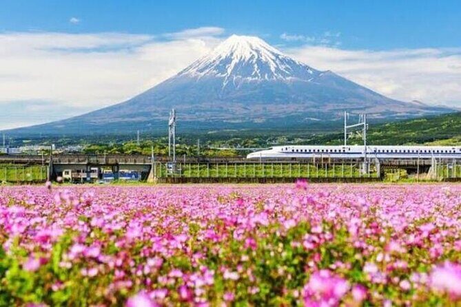 Private Mount Fuji and Hakone sightseeing Day trip with guide - Who Should Consider This Tour