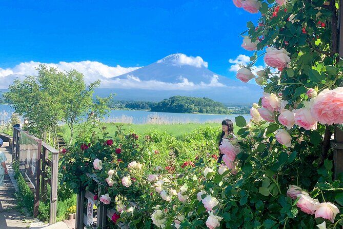 Private Mount Fuji and Hakone sightseeing Day trip with guide - FAQs