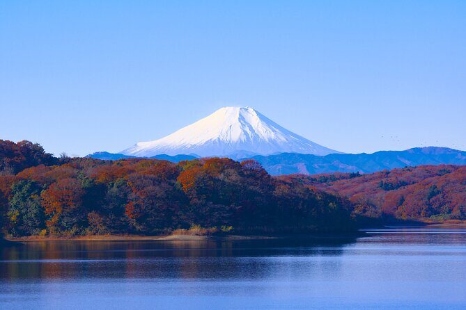 Private Mount Fuji And Hakone Tour with English Guide - Who Should Consider This Tour?