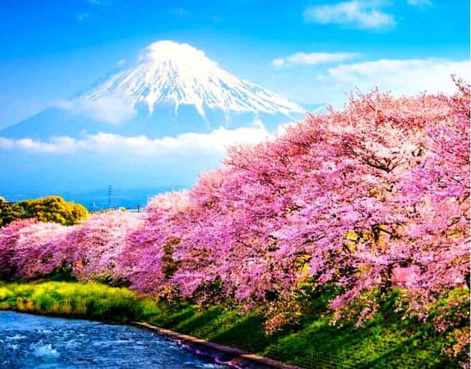 Private Mount Fuji sightseeing Day trip with English Guide - Why This Tour Stands Out
