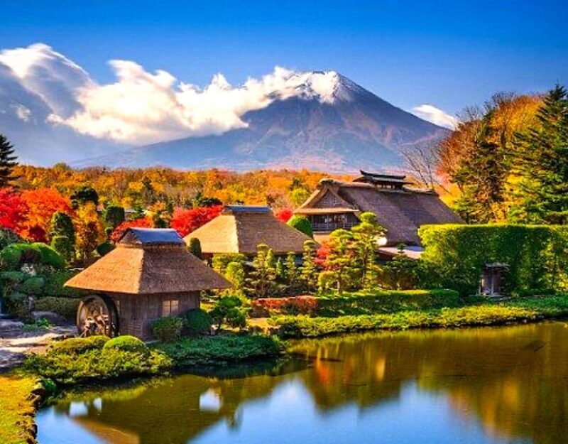 Private Mount Fuji sightseeing Day trip with English Guide - Practical Details and Logistics