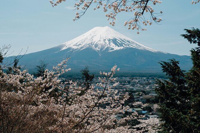Private Mount Fuji Tour: Scenic Views, Lakes & Local Culture - Introduction