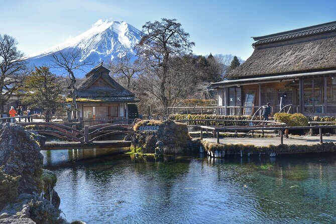 Private Mount Fuji Tour: Scenic Views, Lakes & Local Culture - Exploring Mount Fuji: A Deep Dive