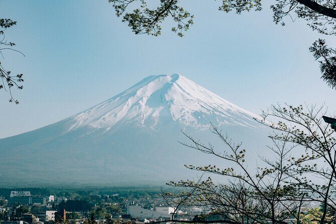 Private Mount Fuji Tour with English Driver from Tokyo - Who Would Enjoy This Tour Most?