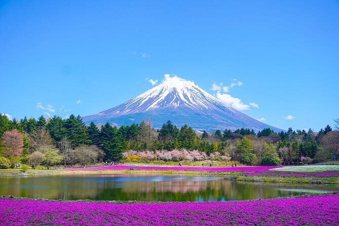 Private Mount Fuji Tours with Car Pickup from Tokyo - An In-Depth Look at Your Mount Fuji Private Tour