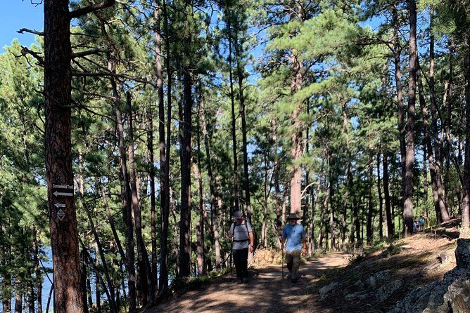 Private Mount Rushmore and Flume Trail Hike - Deep Dive into the Experience